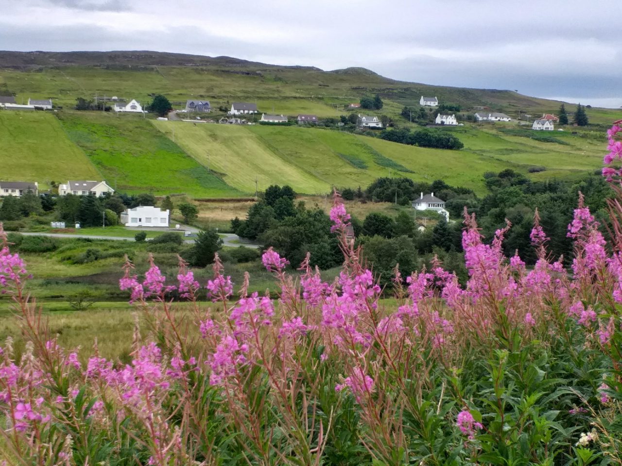 Housing | Edinbane and Communities Company